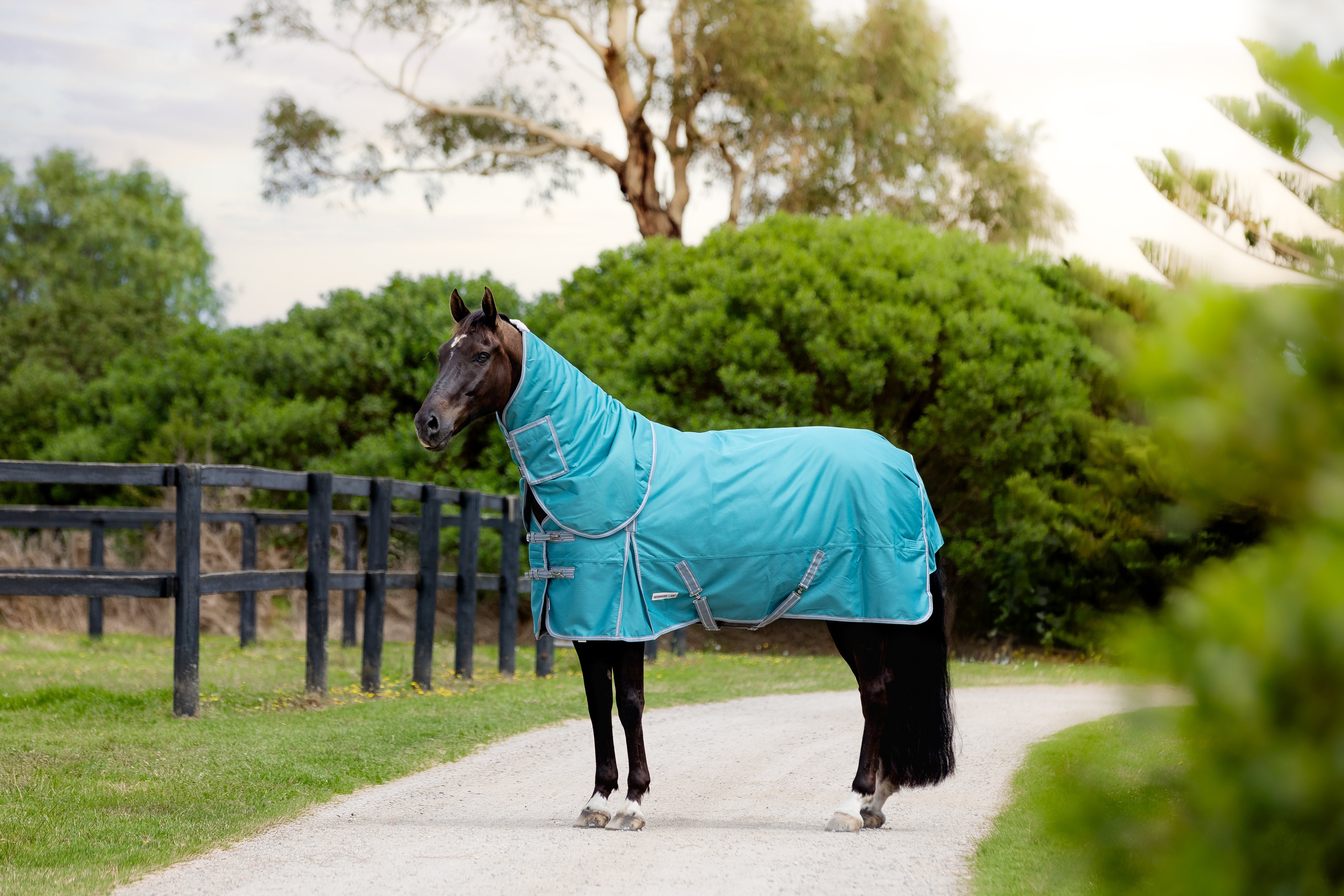 Winter Synthetic Rugs – Goodwoods Saddlery
